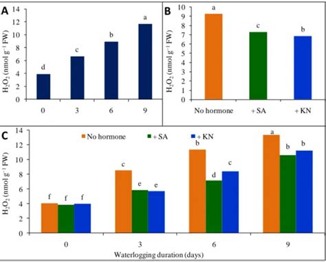 Correlation Among Oxidative Stress Markers And Growth Parameters