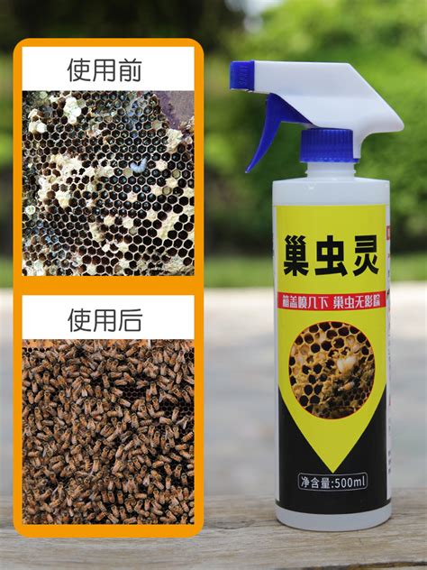 巢虫灵 大山谷图库