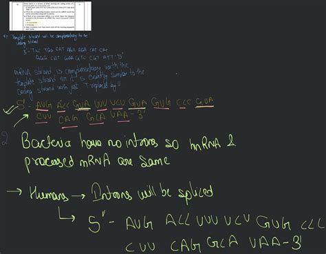 32 given below is a stretch of dna showing the coding strand of a structu