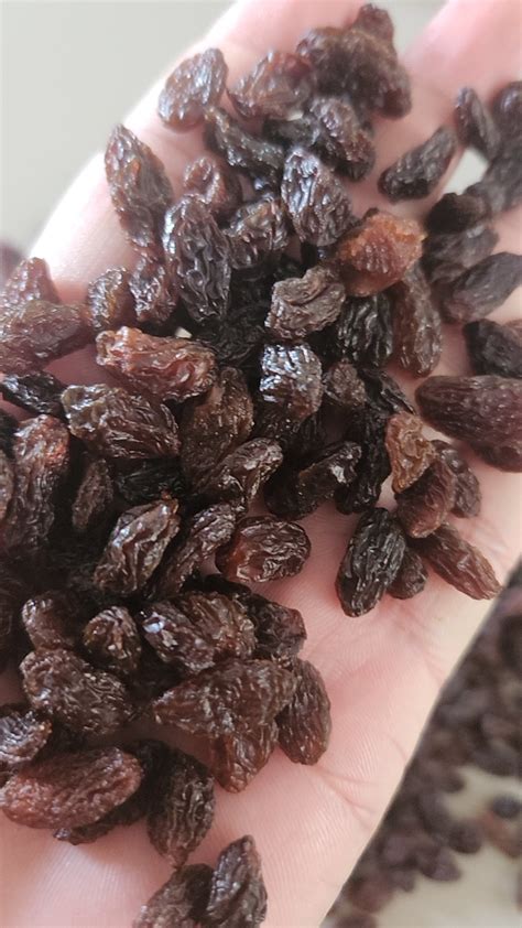 Chinese Red Raisins China 180 220pcs100g And Green Raisins