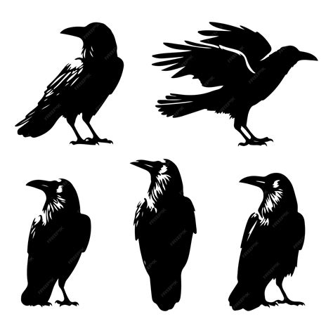 Set Of Crow Silhouette Vector On A White Background Premium Ai