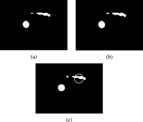figure 1 from iris segmentation using geodesic active contours