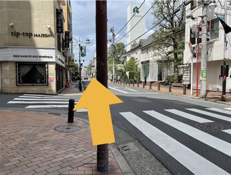【立教大学】絶対に迷わない！池袋駅・要町駅から池袋キャンパスへの徒歩での行き方 合格サプリ