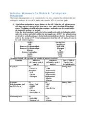 Module Homework Assignment Docx Individual Homework For Module