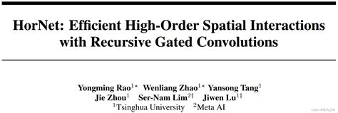 Arxiv 2207 Hornet Efficient High Order Spatial Interactions With