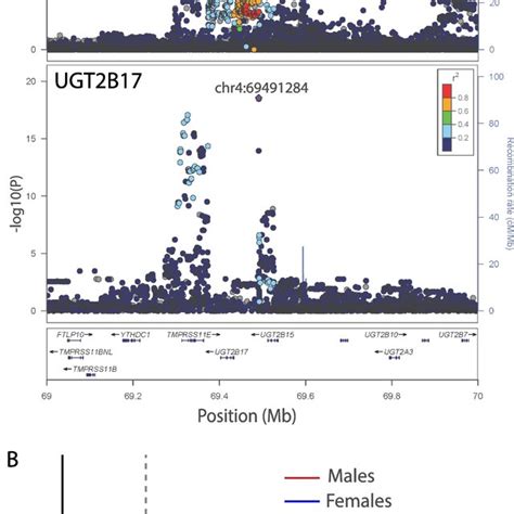 Sex Specificity At The Ugt2b17 Locus A The Association Signal For