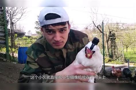 鸡头稳定性到底有多强？把摄像机绑在鸡头上，出现了神奇的现象！鸡头摄像机稳定性