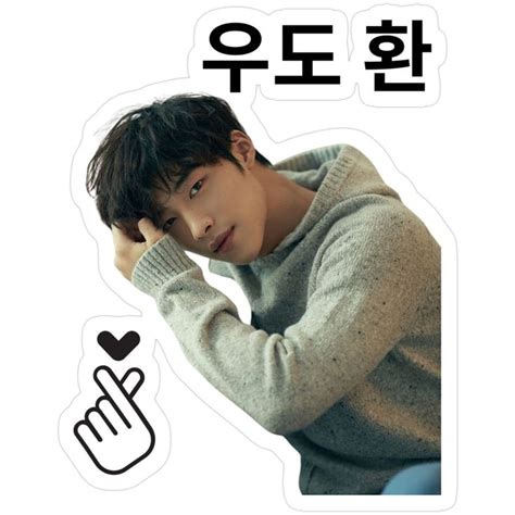 Saranghae 우도 환 Woo Do Hwan Sticker For Sale By Koppaamerica In 2025