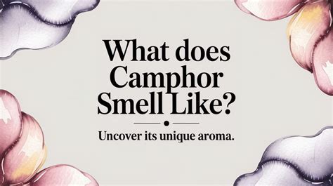 What Does Camphor Smell Like Uncover Its Unique Aroma In 2026