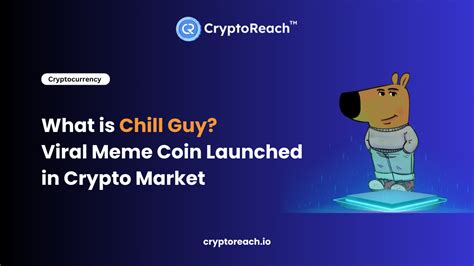 What Is Chill Guy Viral Meme Coin Launched In Crypto Market By