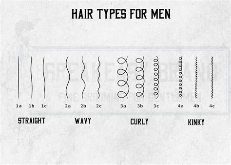 Hair Type Chart Speakeasy Brand