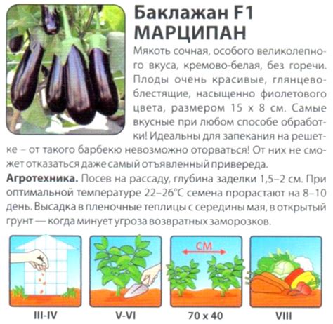 Баклажан Марципан. Характеристика, описание сорта, фото, отзывы