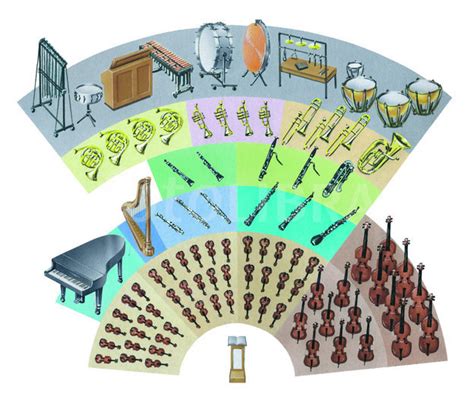 Orchestra Layout Diagram Quizlet