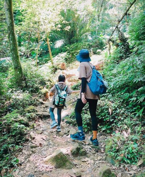 桃園登山步道｜精選9條舒適好走的山林步道，擁抱神木沐浴芬多精，輕鬆get小百岳！ Line 熱點