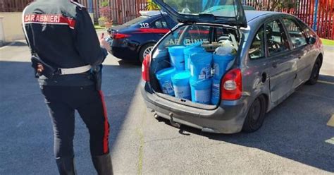 I Ladri Non Si Fermano All Alt Arrestati Dopo Un Inseguimento Di 25 Km