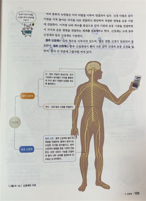 과학 중3 과학 생식과 발생 오누이