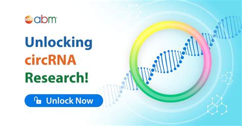 Circrna Geneexpression Cloning Viralvector Vector