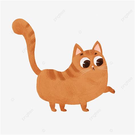 小貓 貓 貓咪 小貓圖片png去背圖片素材免費下載，免摳圖設計圖案下載 Pngtree