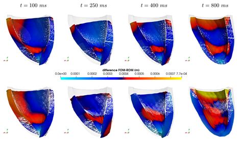 Cardiac Cycle Physiological Scenarios Fom Wireframe And Download Scientific Diagram