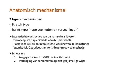 Hamstring Tendinopathy Pptx