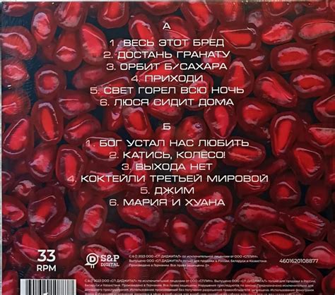 Пластинка Гранатовый Альбом Сплин. Купить Гранатовый Альбом Сплин по ...