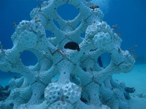 Modular Artificial Reef Structure Mars Reef Design Lab