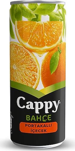 Cappy Bahçe Meyve Suyu 250 Ml Fiyatları Özellikleri Ve Yorumları En
