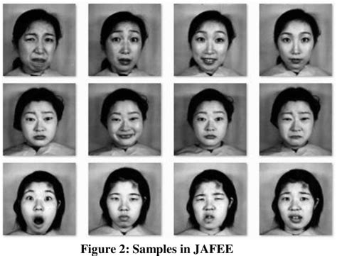 Figure 2 From A Novel Algorithm For Human Facial Expression Recognition Using Gabor Filter And