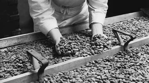 New Peanut Allergy Prevention Guidelines Begin With Infants Cnn
