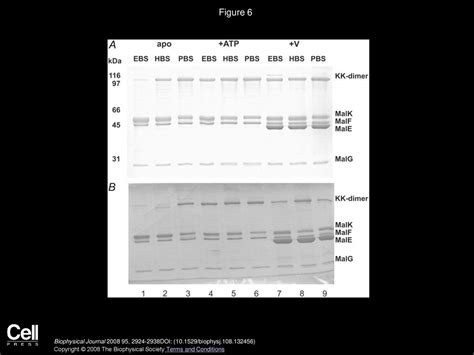 Volume 95 Issue 6 Pages September 2008 Ppt Download