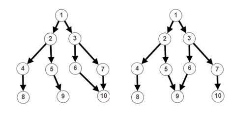 General Topology Graph Isomorphism Checkingdetection For Directed