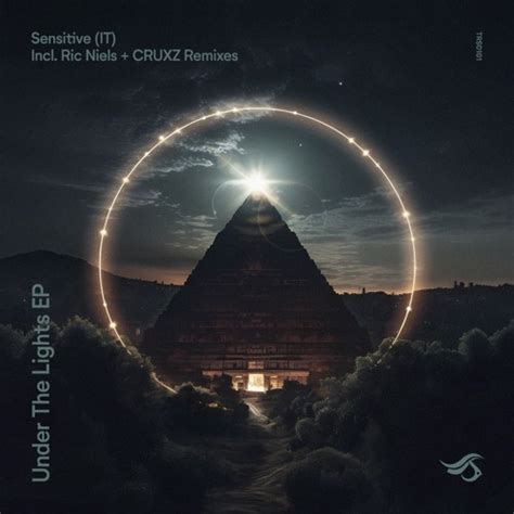 Stream Premiere Sensitive It Under The Lights Ric Niels Remix