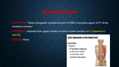 SOLUTION Spinal Cord Nursing Studypool