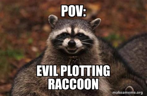 Pov Evil Plotting Raccoon Evil Plotting Raccoon Meme Generator