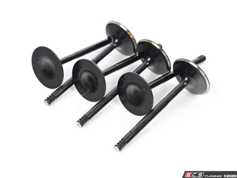 Supertech Vwivn 1011 6 Supertech Valves 3mm Oversized Set Of 6