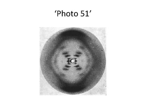 Molecular Biology Structure Function Of Nucleic Acids Replication