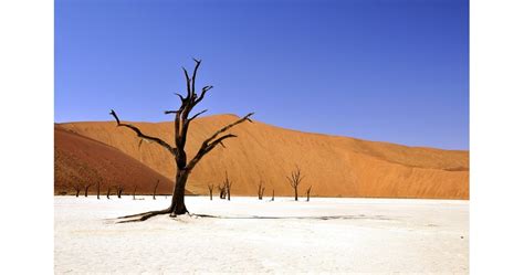 България става Африка