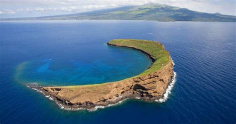Tudo sobre o Havaí Molokini como é o mergulho na cratera de um vulcão