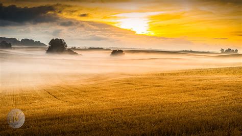 Untitled Ryan Weyrauch Flickr