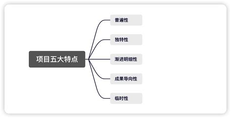 项目管理