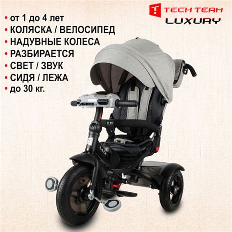Детский трехколесный велосипед с ручкой Tech Team Luxury 2023 серый ...