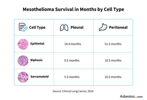 Mesothelioma Life Expectancy Factors Treatment And Improving