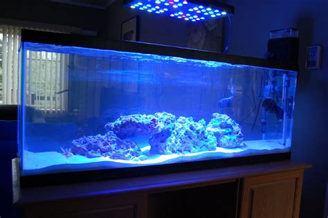 Build Thread 55 Gallon Long Reef2reef