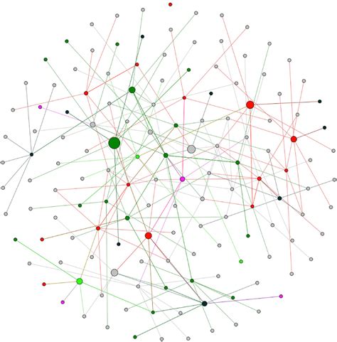 network visualization of anti vaccine expert seed network note each