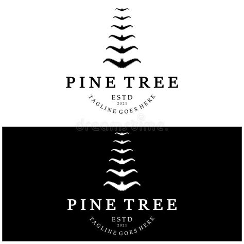 Simple Pine Or Fir Tree Logoevergreenfor Pine Forestadventurers