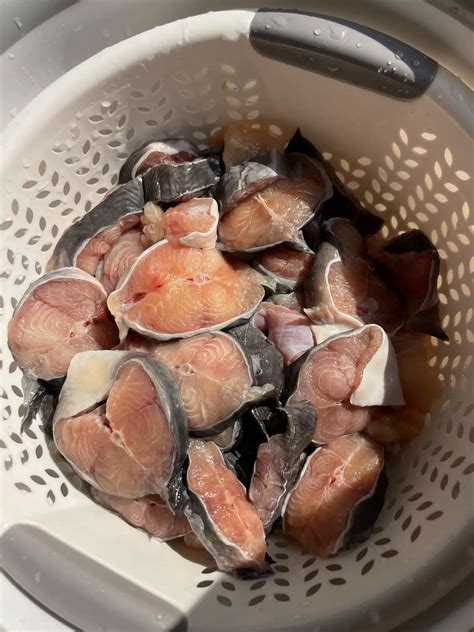 แกงปลาดุกใส่หน่อไม้🥘 แกลเลอรีที่โพสต์โดย Varisa New Lemon8