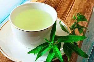 Todo lo que tenés que saber para preparar batidos naturales y aumentar tu masa muscular LA NACION