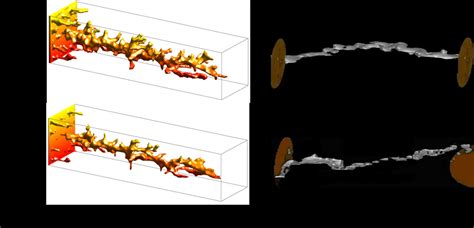 Comparison Of Simulation Results With Experiments [48] On Wormhole Download Scientific Diagram