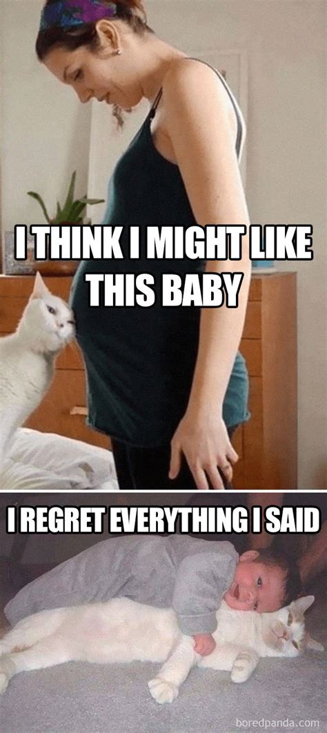 50 Of The Funniest Pregnancy Memes Ever Bored Panda