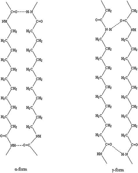 The Hydrogen Bond Structures Of α And γ Forms In Nylon 12 Download